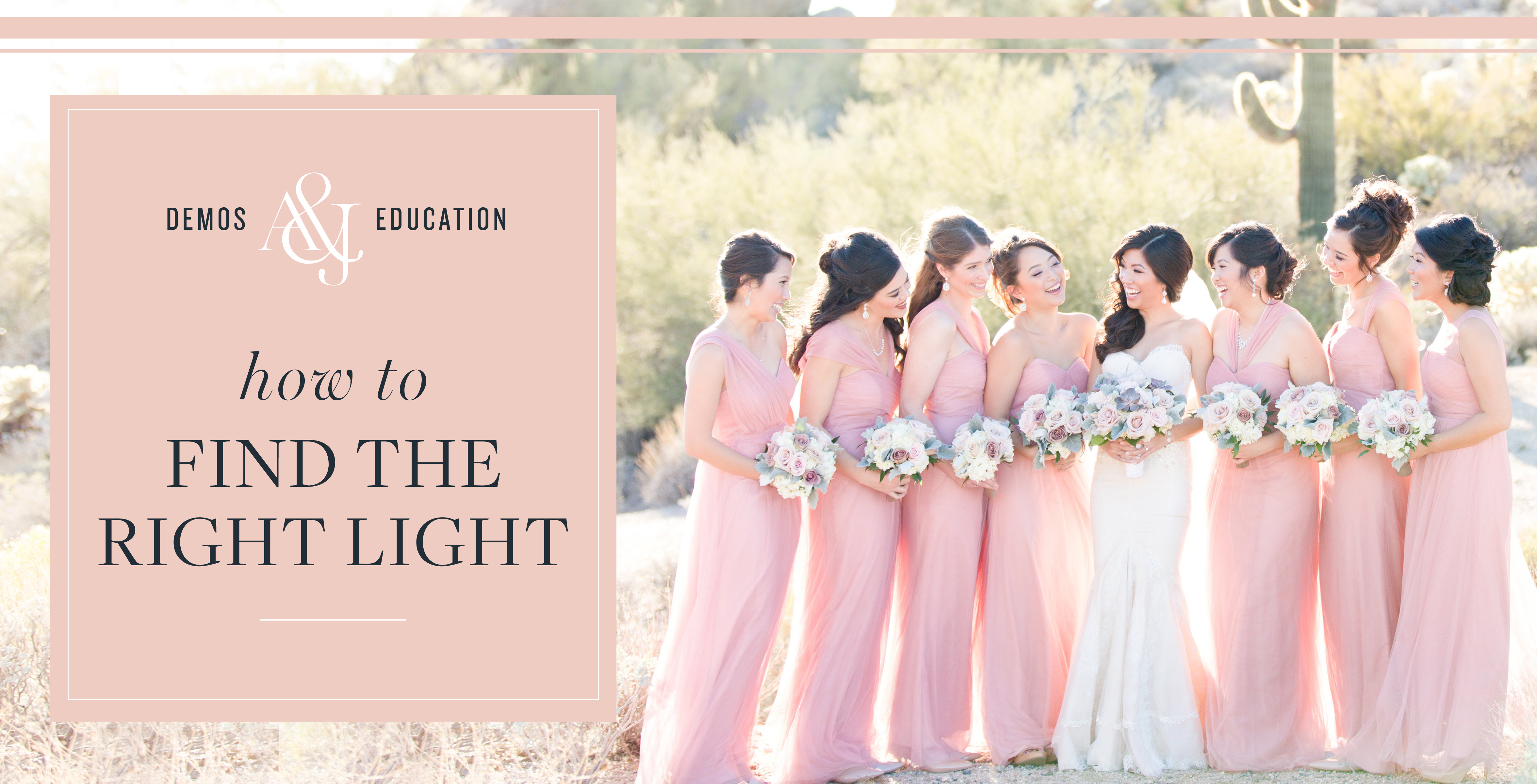 How to Find the Right Light